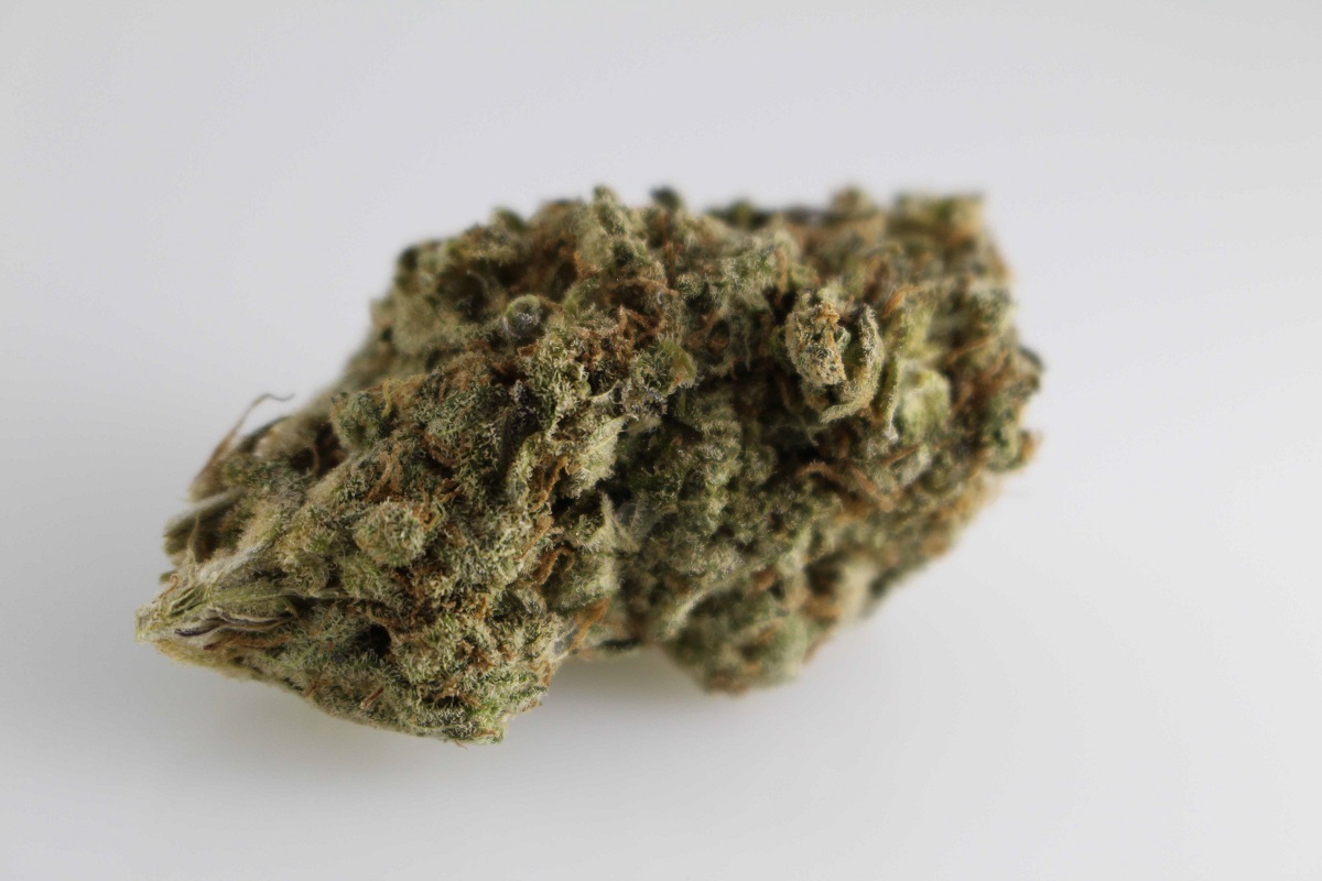 Strain of the Month: Afghan | Cannafo News | Marijuana Information ...