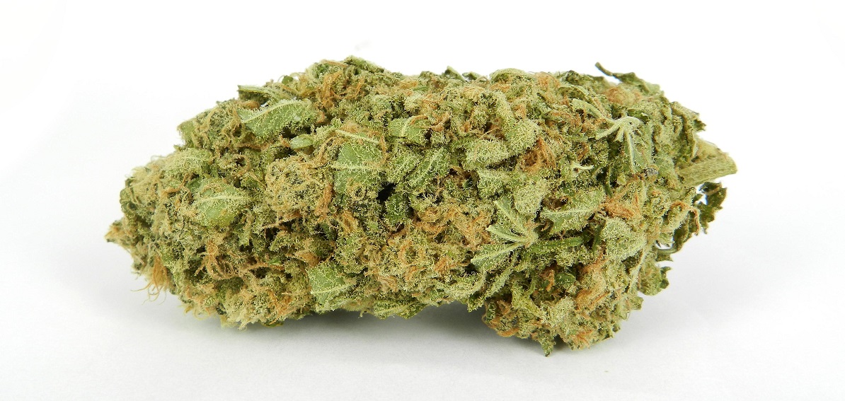 The Strain of the Month: Durban Poison | Cannafo News | Marijuana ...