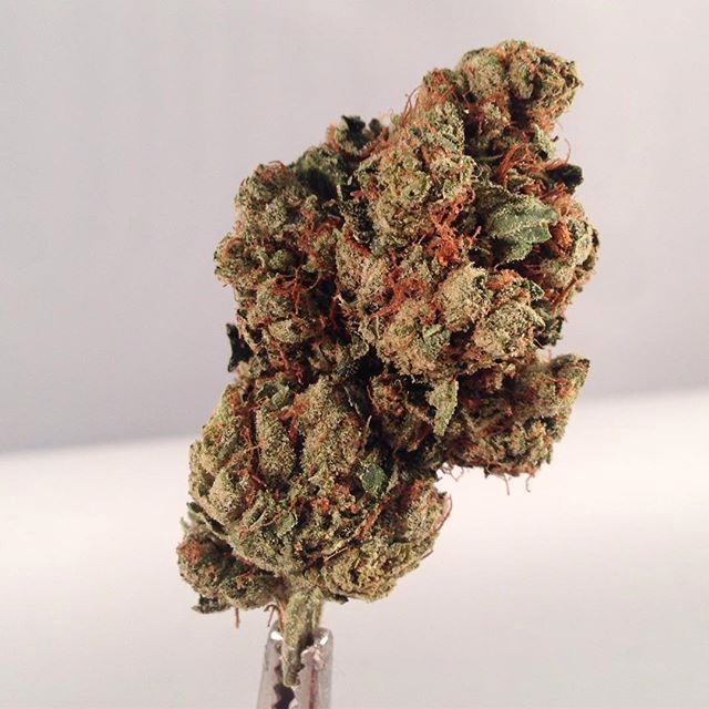 Alien OG Strain Information | Cannafo | Marijuana | Cannabis | Cannafo.com