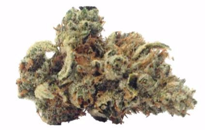 Alien OG Strain Information | Cannafo | Marijuana | Cannabis | Cannafo.com