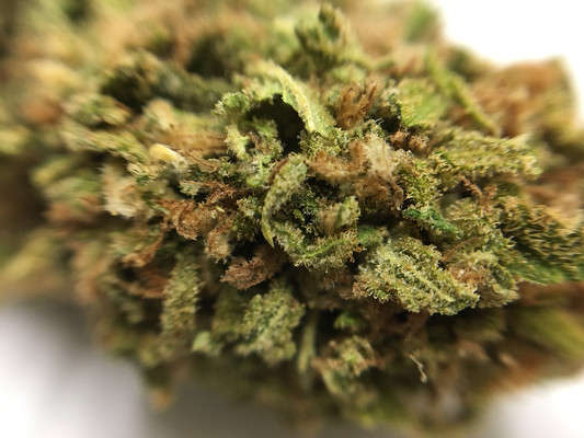 Blue Magoo Strain Information | Cannafo | Marijuana | Cannabis ...