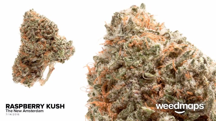 Raspberry Kush Strain Information | Cannafo | Marijuana | Cannabis ...
